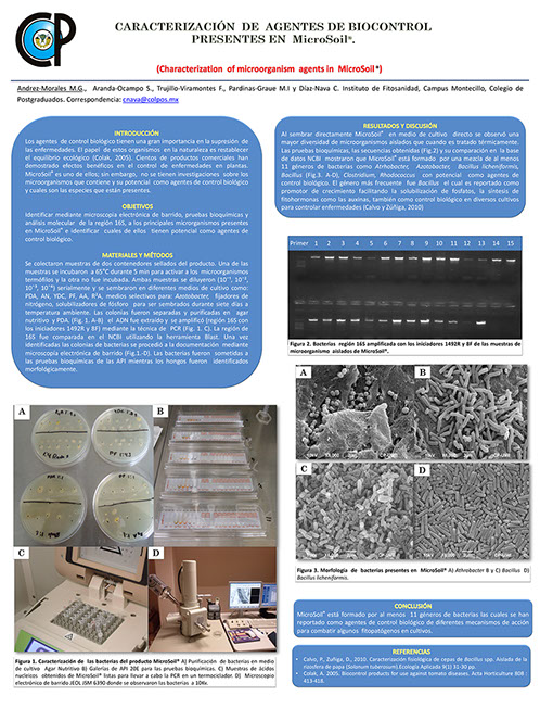 MicroSoil® | Noticias